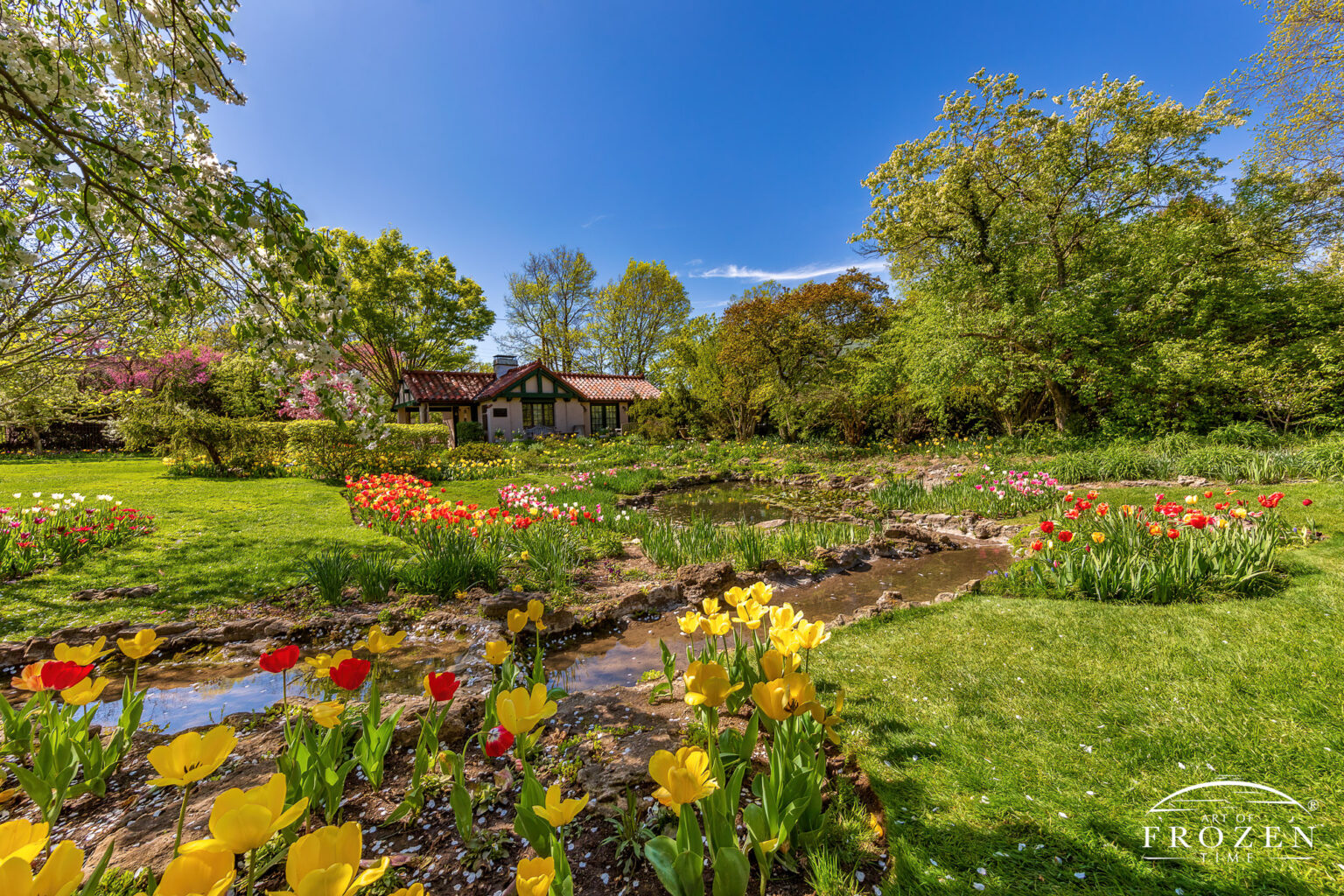 Oakwood’s Smith Memorial Gardens in Spring No. 1 | Art of Frozen Time